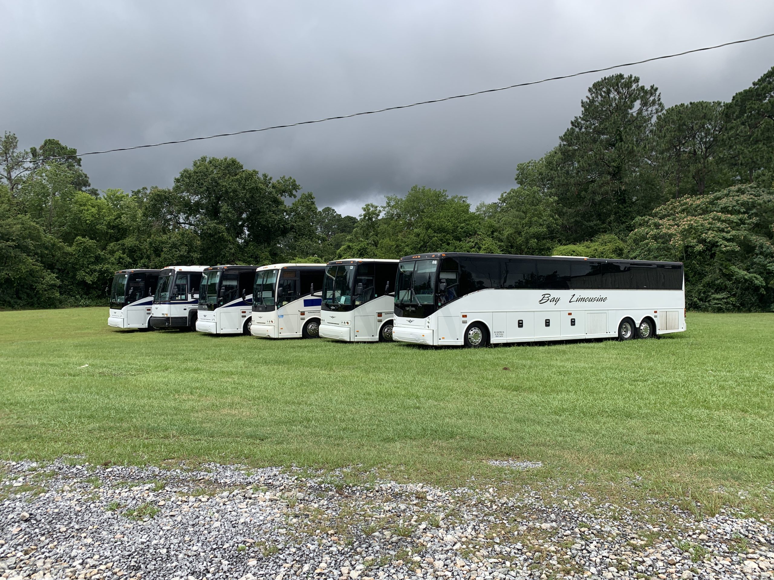 Charter & Executive Buses - Bay Limousine Service